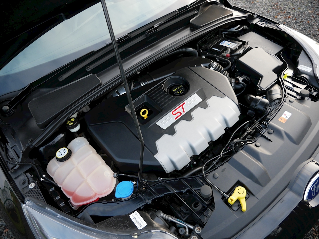 Used 2014 Ford Focus 2.0T EcoBoost ST-3, Manual For Sale in ...